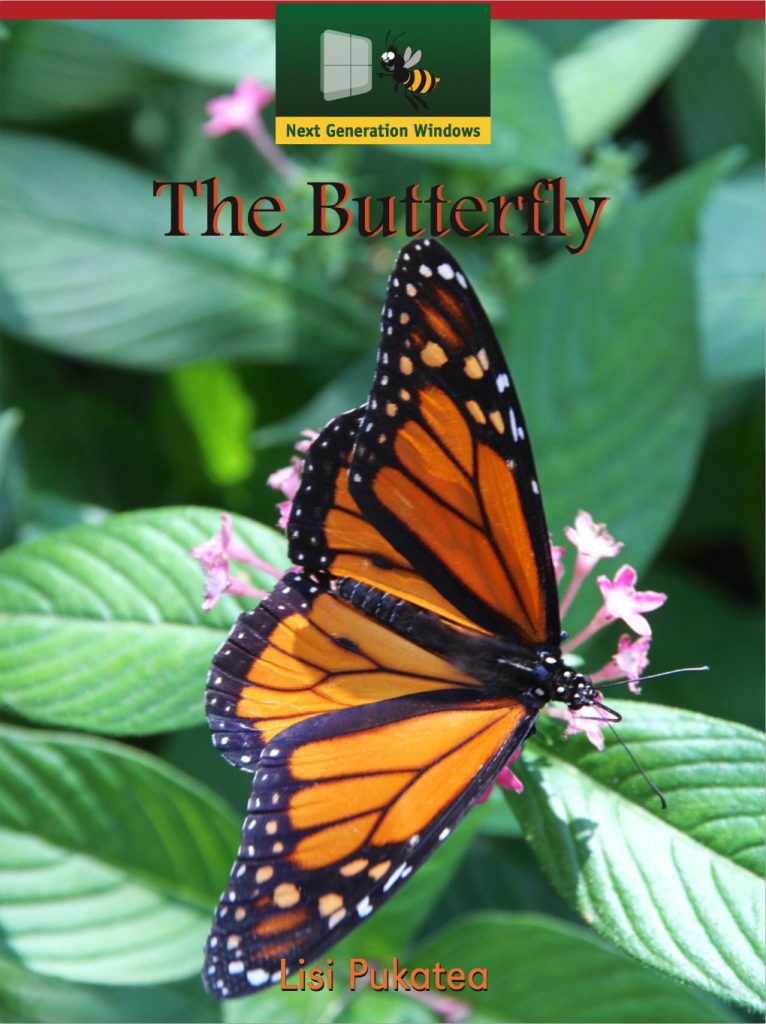 Biggest Book – The Butterfly - Giltedge Publishing